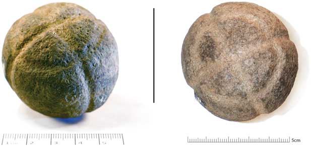 Getting into the Groove: Exploring the Relationship between Grooved ...