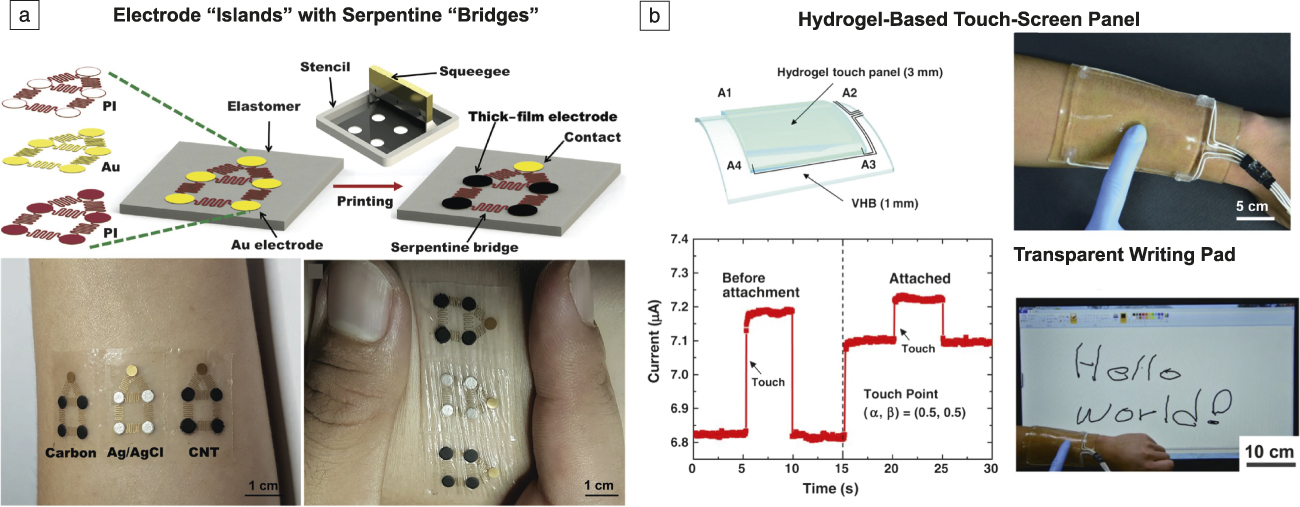 Stretchable bioelectronics—Current and future | MRS Bulletin ...