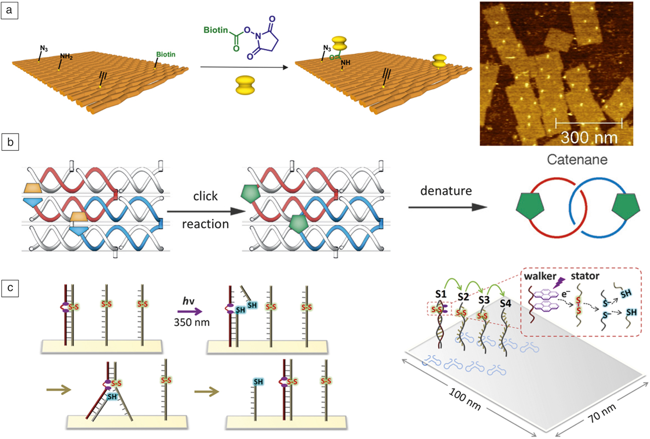 Chemical modifications and reactions in DNA nanostructures | MRS ...