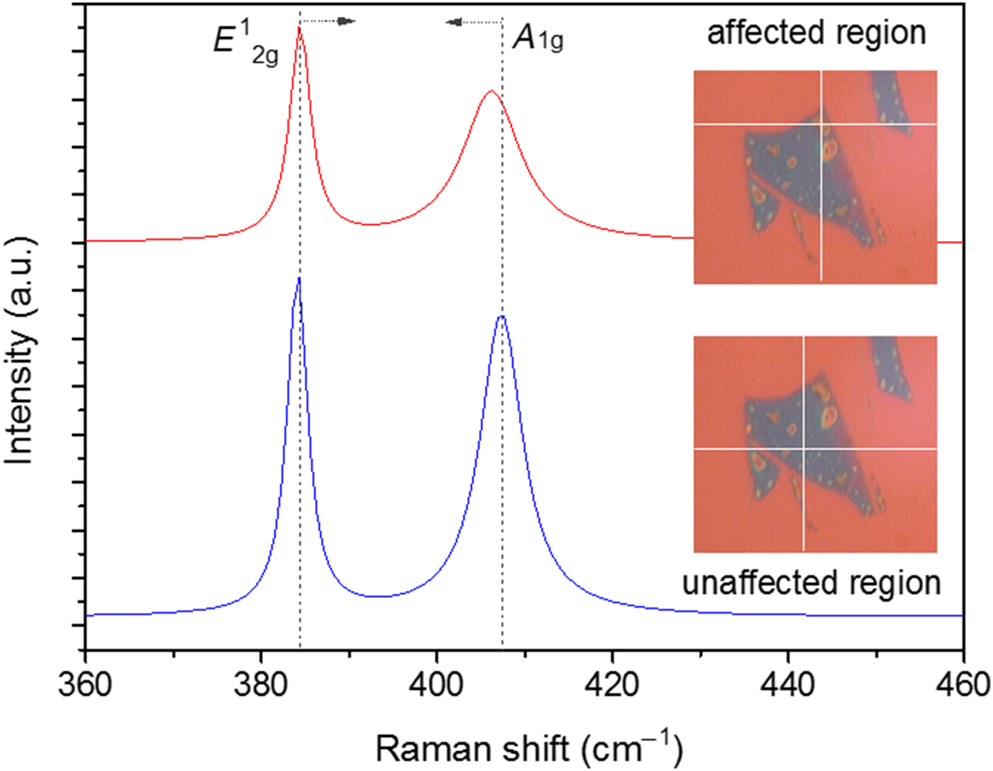 Long-term stability of mechanically exfoliated MoS2 flakes | MRS ...