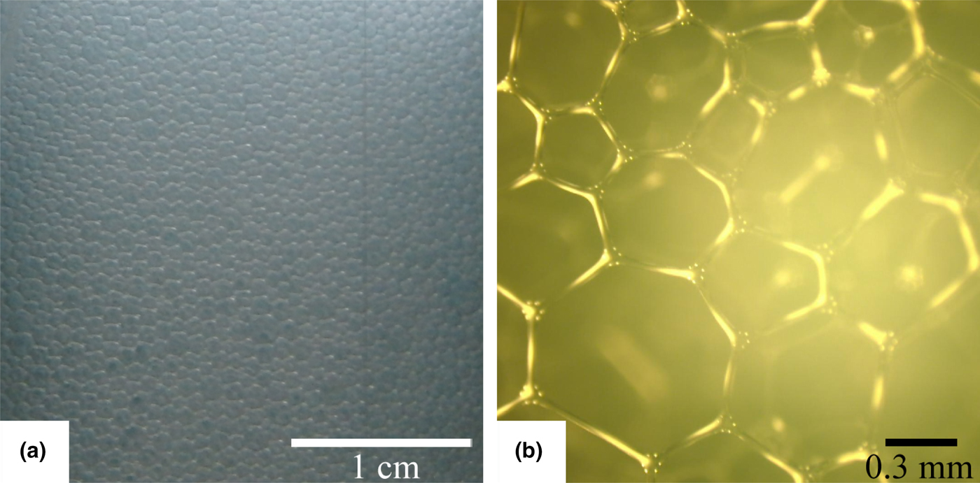 Characteristics of nickel thin films prepared by electroless plating in ...