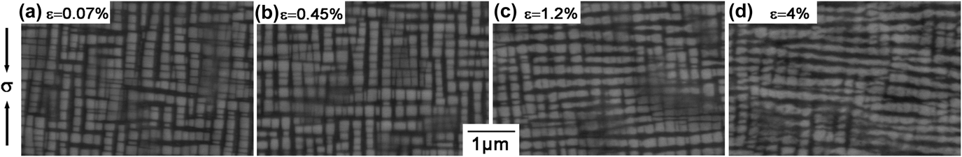 Microstructure evolution in L12 hardened Co-base superalloys during ...