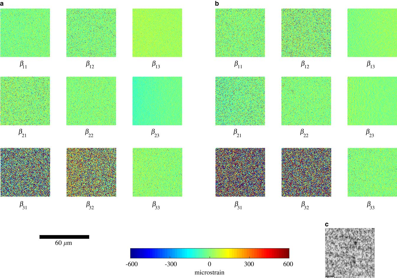Selectively Electron-Transparent Microstamping Toward Concurrent Digital Image Correlation and ...