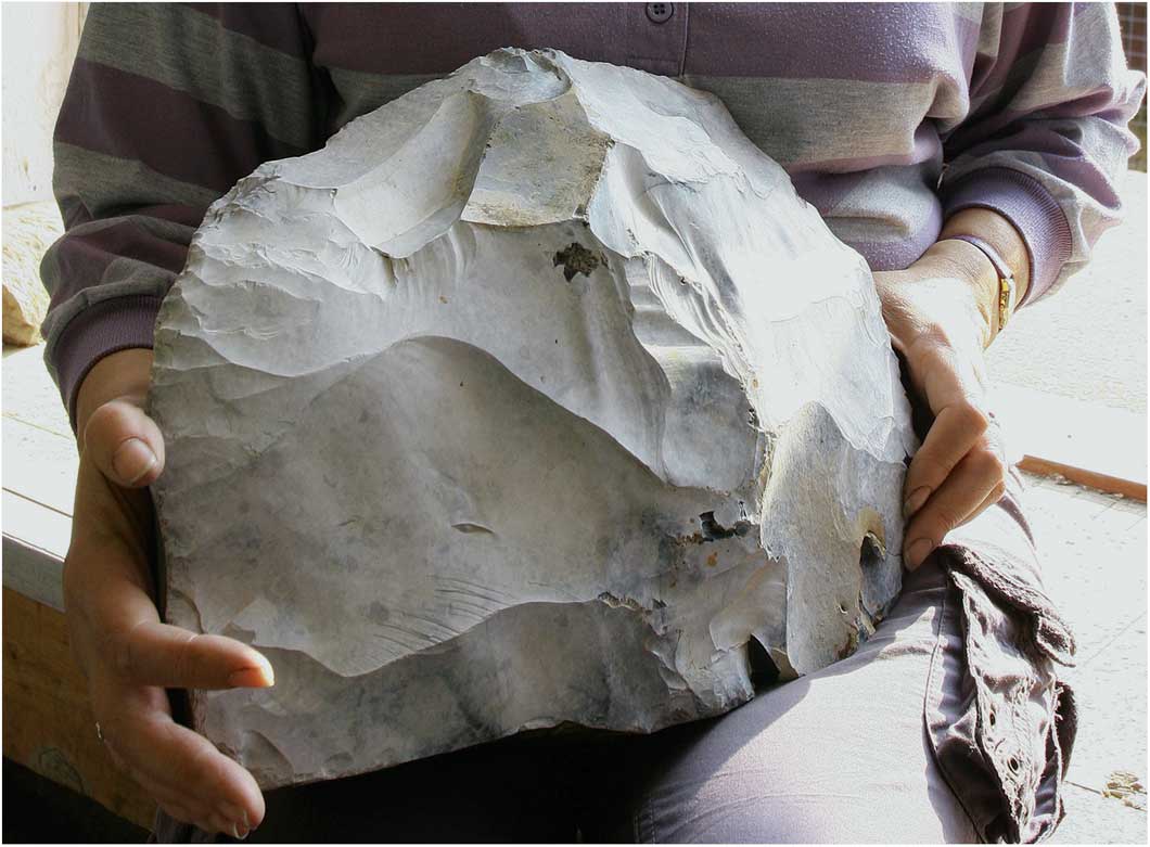 THOUGHTS ON MASSIVE FLINT CORES FROM WILTSHIRE AND EAST ANGLIA, THE ...