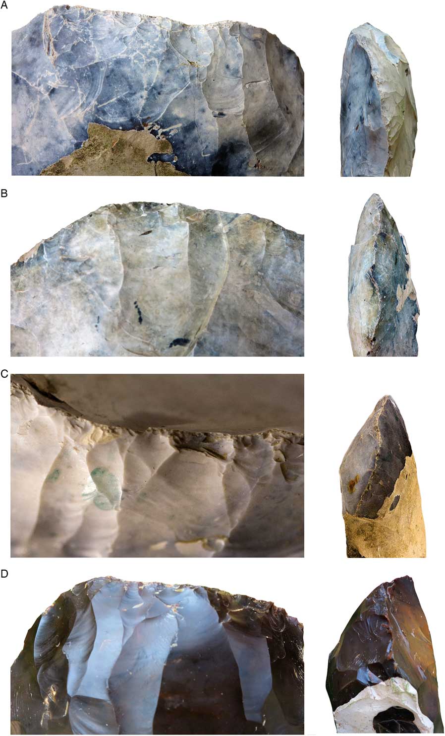 THOUGHTS ON MASSIVE FLINT CORES FROM WILTSHIRE AND EAST ANGLIA, THE ...