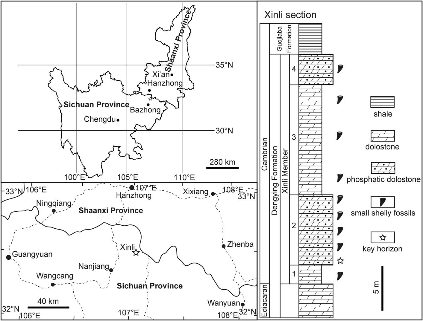 New material of scalidophoran worms in Orsten-type preservation from ...