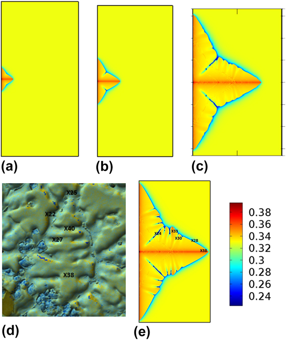 Microstructure characterization and phase field analysis of dendritic ...