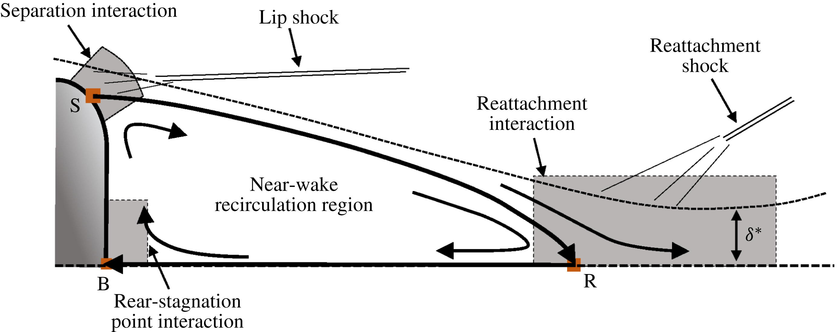 Mechanisms in the hypersonic laminar near wake of a blunt body ...