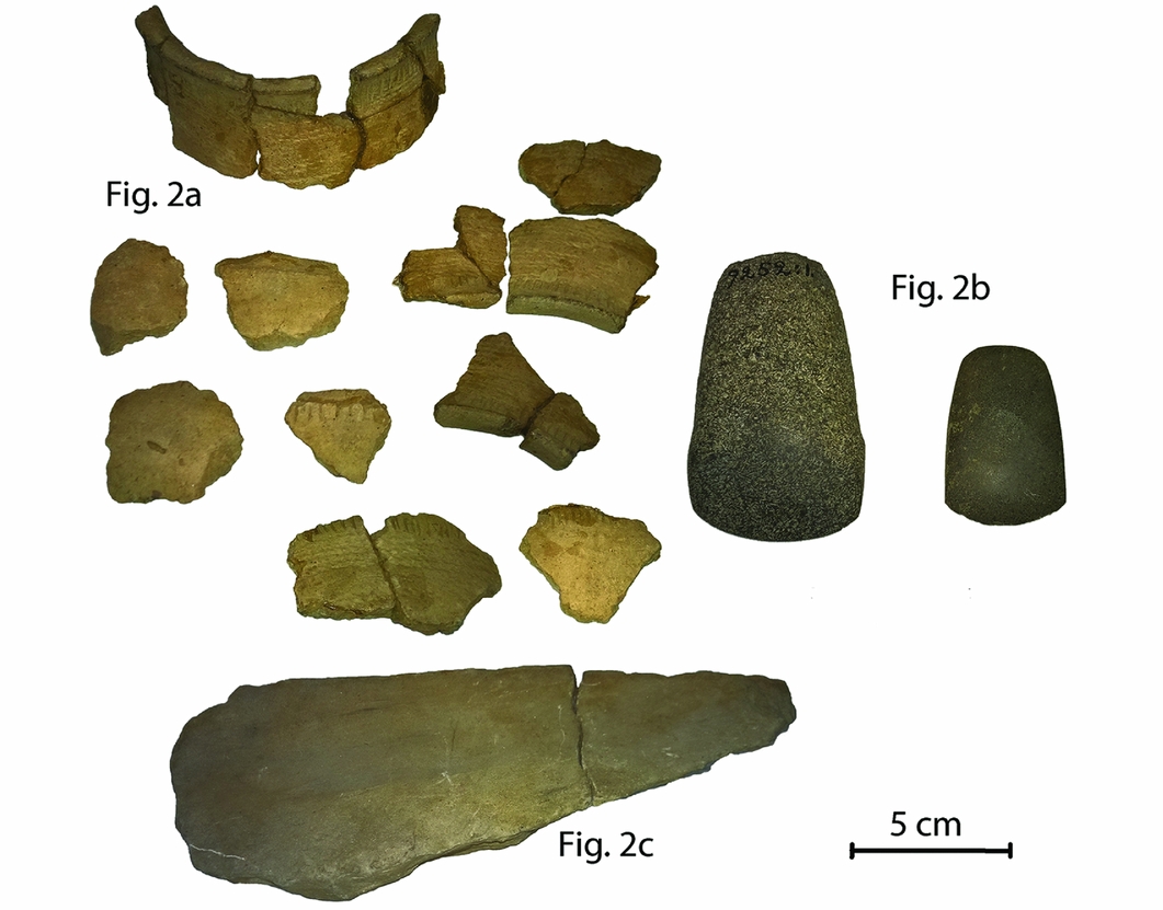 On the scent of an animal skin: new evidence on Corded Ware mortuary ...