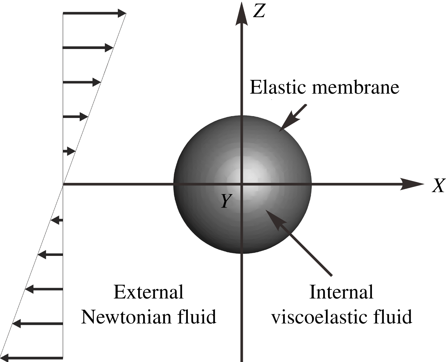 Dynamics of capsules enclosing viscoelastic fluid in simple shear flow | Journal of Fluid ...