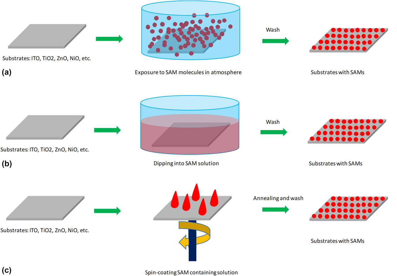 Self-assembly monolayers boosting organic–inorganic halide perovskite ...