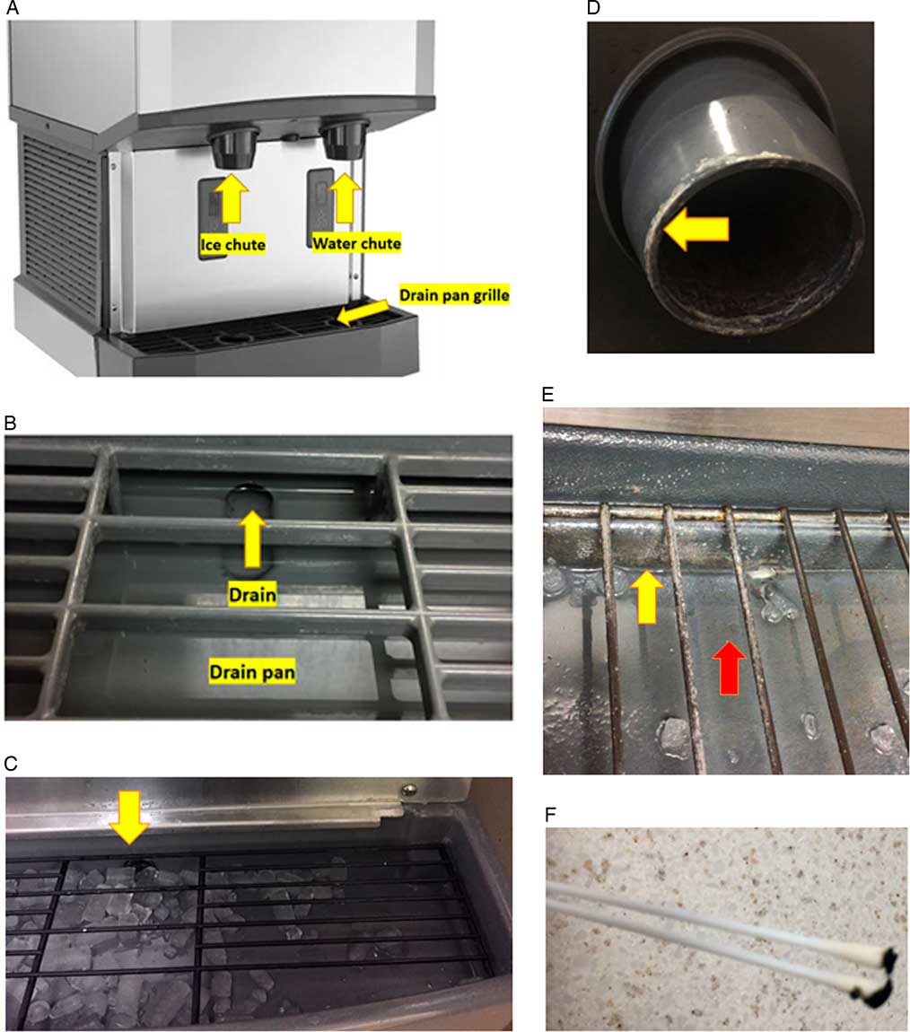 Hiding in Plain Sight: Contaminated Ice Machines Are a Potential Source ...