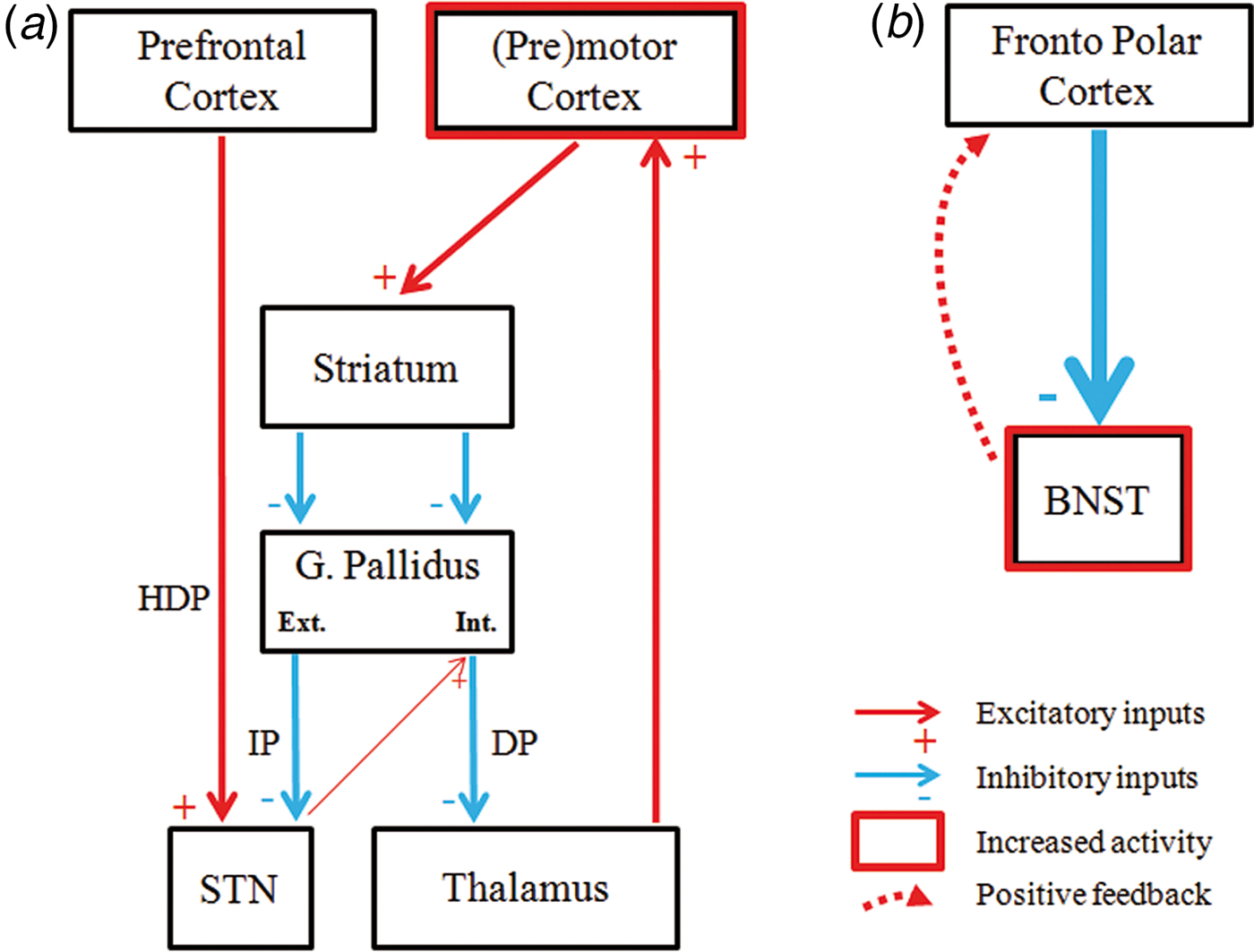 Altered functional connectivity of the subthalamus and the bed nucleus ...