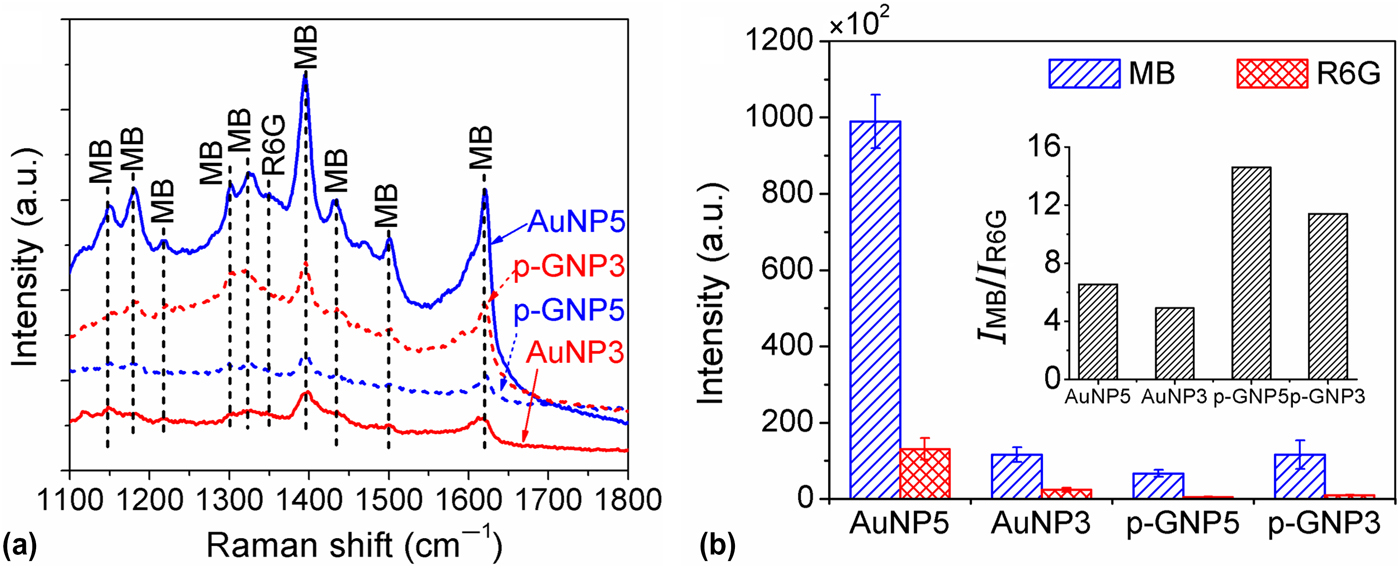 Self-patterning of graphene-encapsulated gold nanoparticles for surface ...