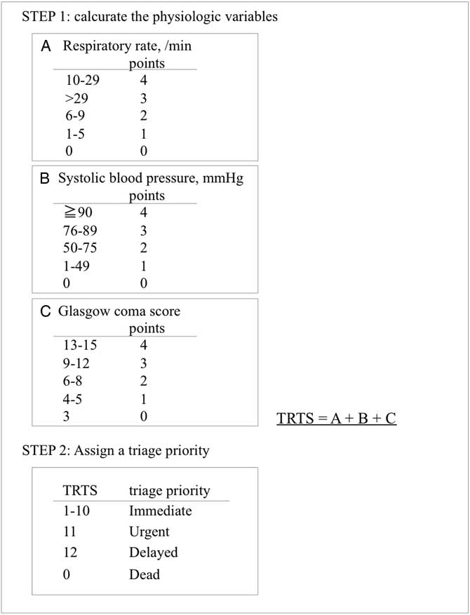 Introduction of Pediatric Physiological and Anatomical Triage Score in ...