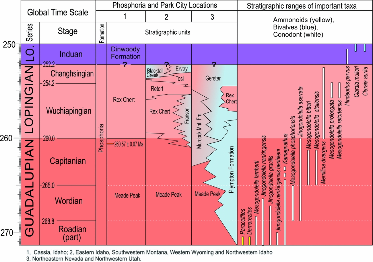New U–Pb constraints identify the end-Guadalupian and possibly end ...
