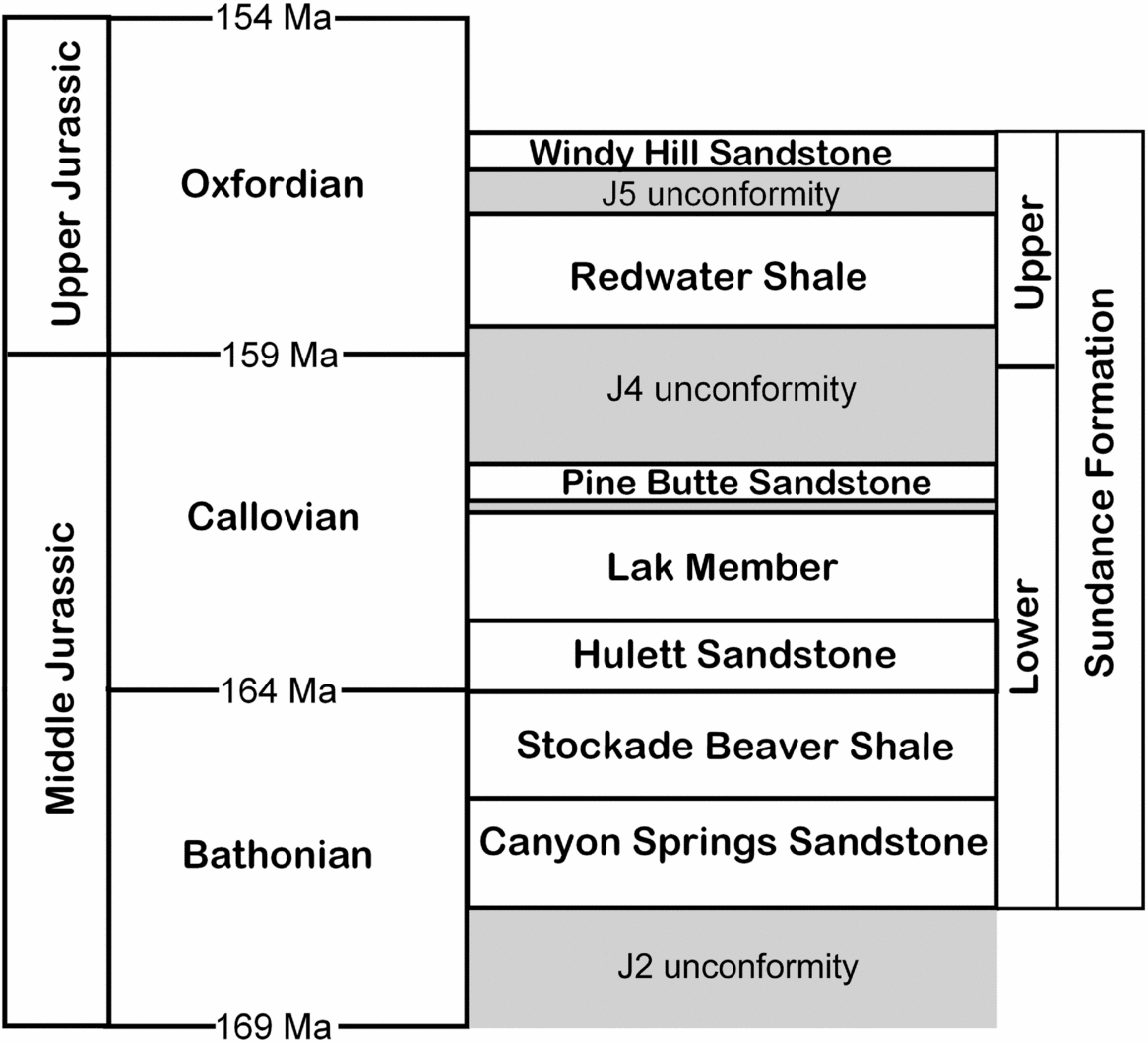 Palaeoecology of the marine reptiles of the Redwater Shale Member of ...