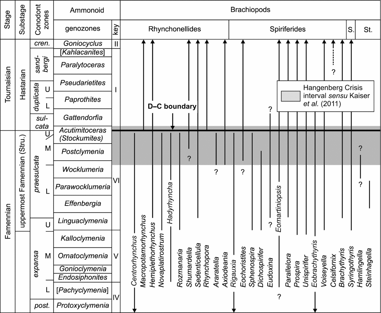 Biostratigraphic significance of brachiopods near the Devonian ...