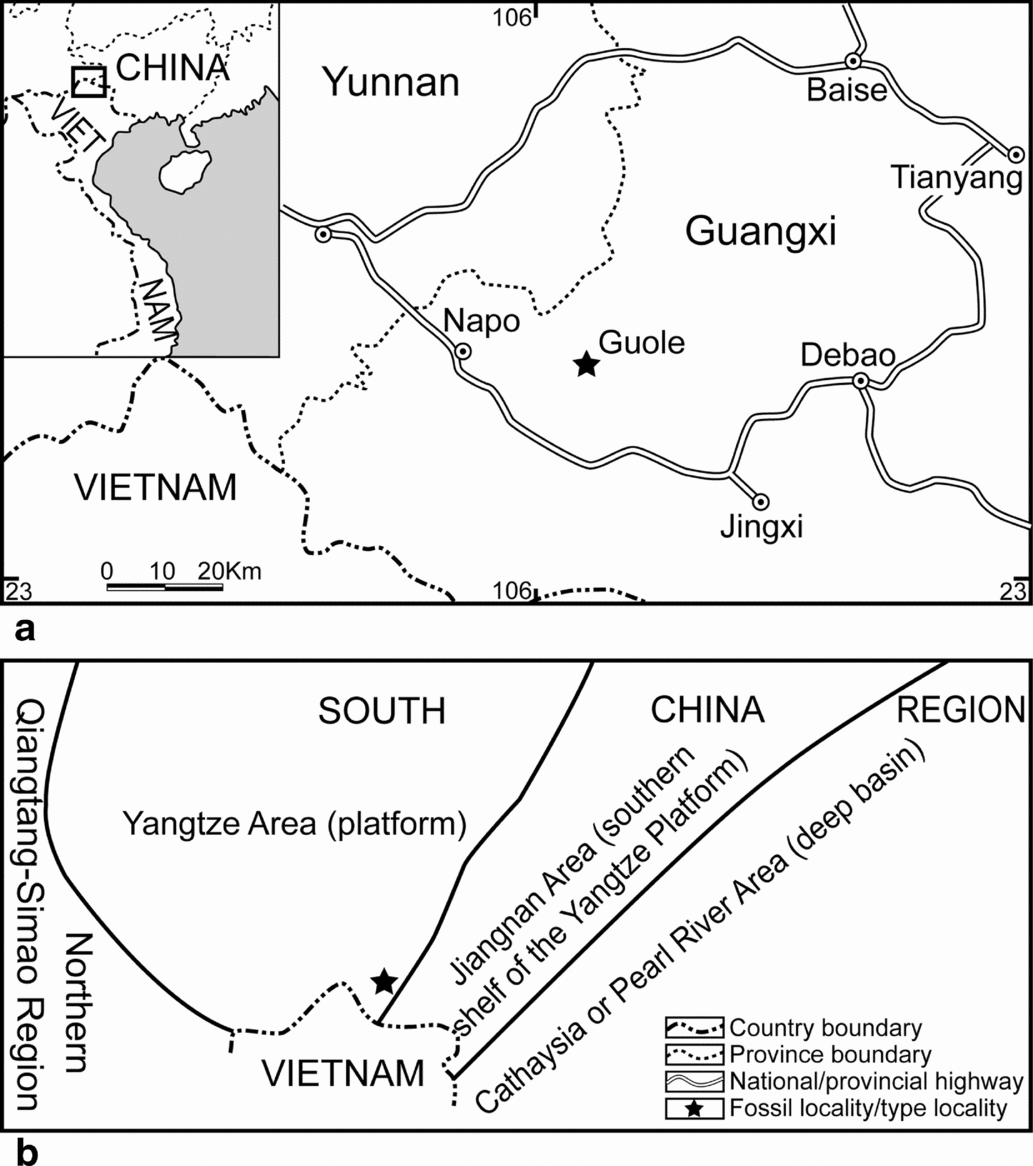A new stemmed echinoderm from the Furongian of China and the origin of ...