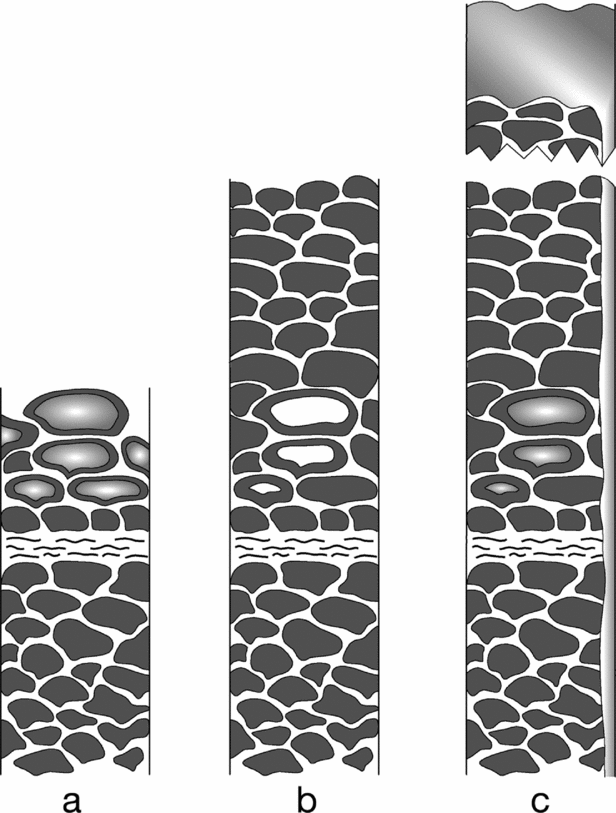 Evidence for refilling of previously emptied basaltic pillows in the ...