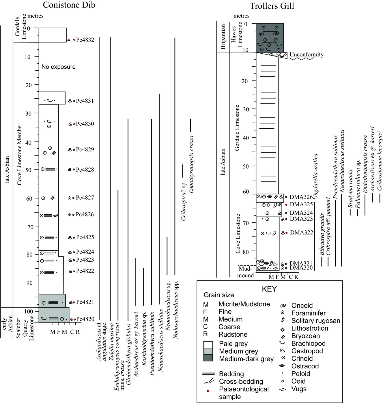 Lithostratigraphy and biostratigraphy of the Lower Carboniferous ...