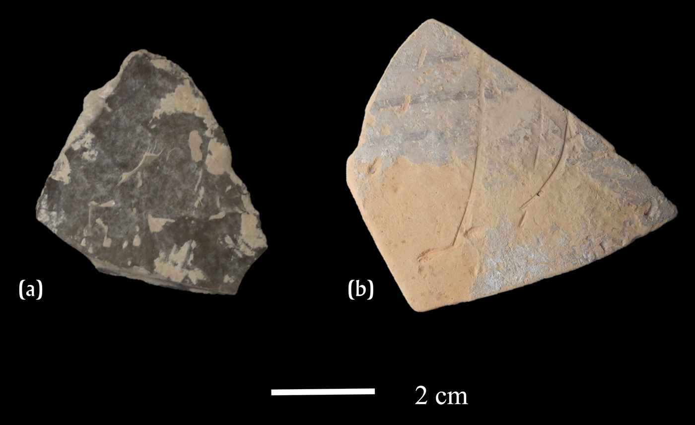 UNDERGROUND PITS (CHULTUNES) IN THE SOUTHERN MAYA LOWLANDS: EXCAVATION ...