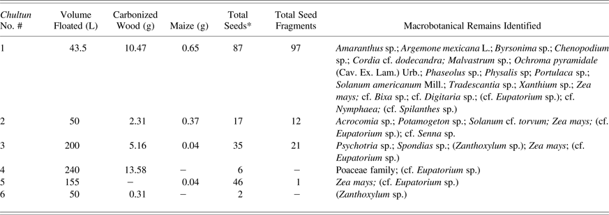 UNDERGROUND PITS (CHULTUNES) IN THE SOUTHERN MAYA LOWLANDS: EXCAVATION ...
