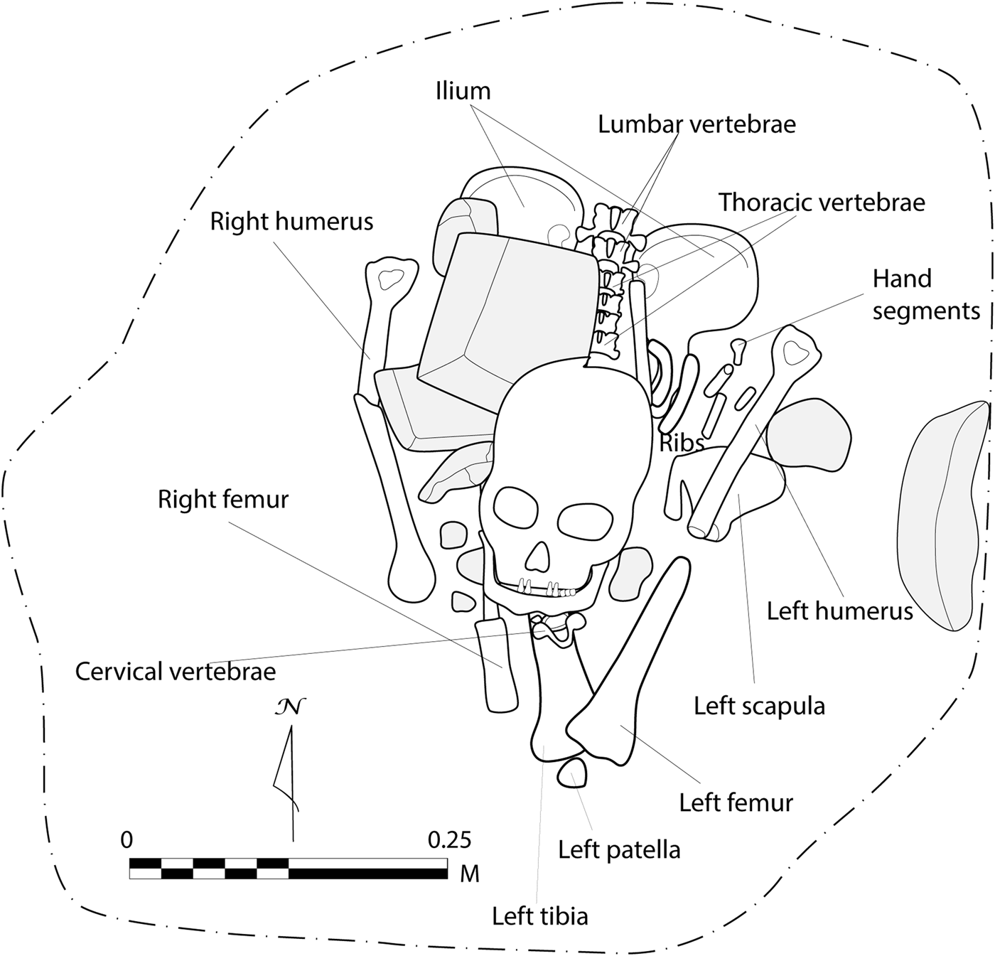 MORTUARY RITUALS AND CRANIAL MODIFICATIONS AT CEIBAL: FROM THE EARLY ...