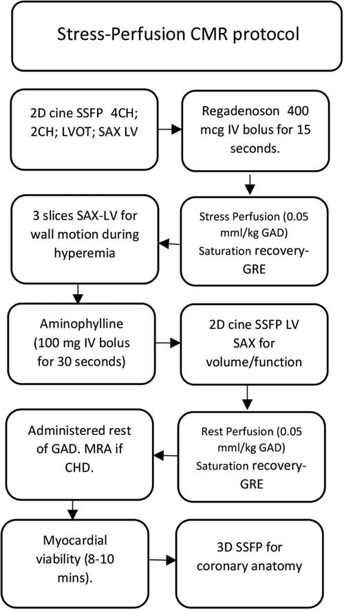 Myocardial stress perfusion magnetic resonance in children with ...