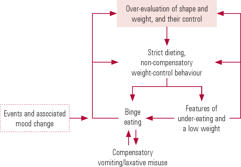 Management of bulimia nervosa and other binge eating problems ...
