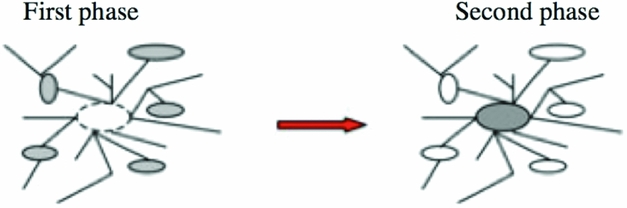 Prototype effects in first and second language learners: The case of ...