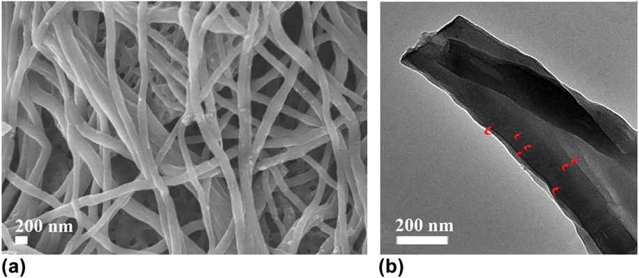 Carbon nanofibers prepared by electrospinning accompanied with phase ...