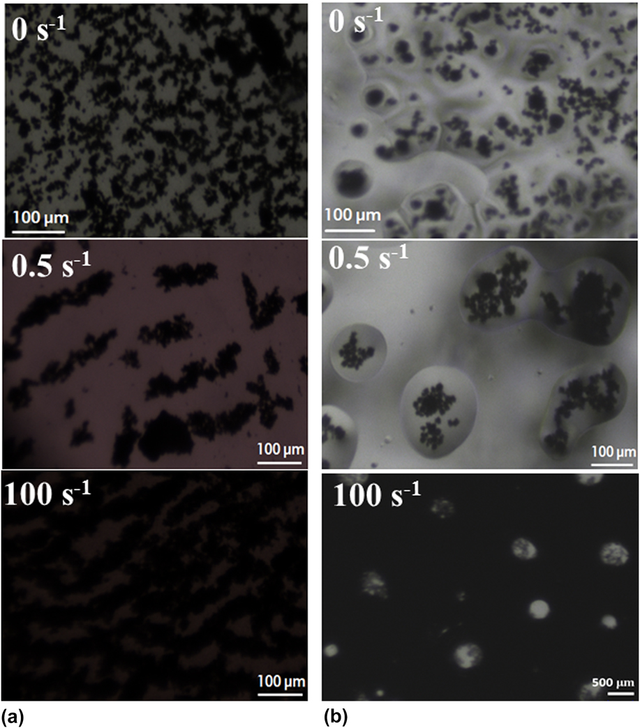 Carbon black dispersions in surfactant-based microemulsion | Journal of ...