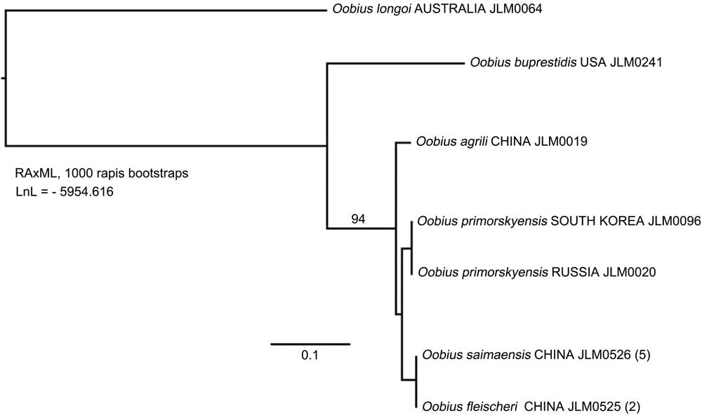 Two new species of Oobius (Hymenoptera: Encyrtidae) and their ...