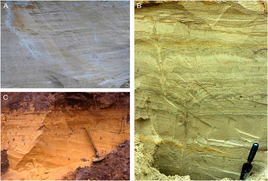Approaches and challenges to the study of loess—Introduction to the ...