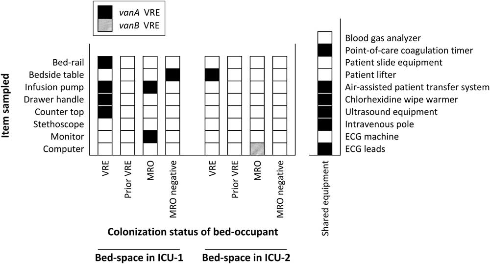 Defining the Role of the Environment in the Emergence and Persistence ...