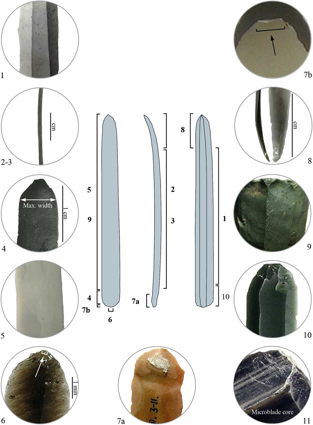 The Emergence of Pressure Knapping Microblade Technology in Northeast ...
