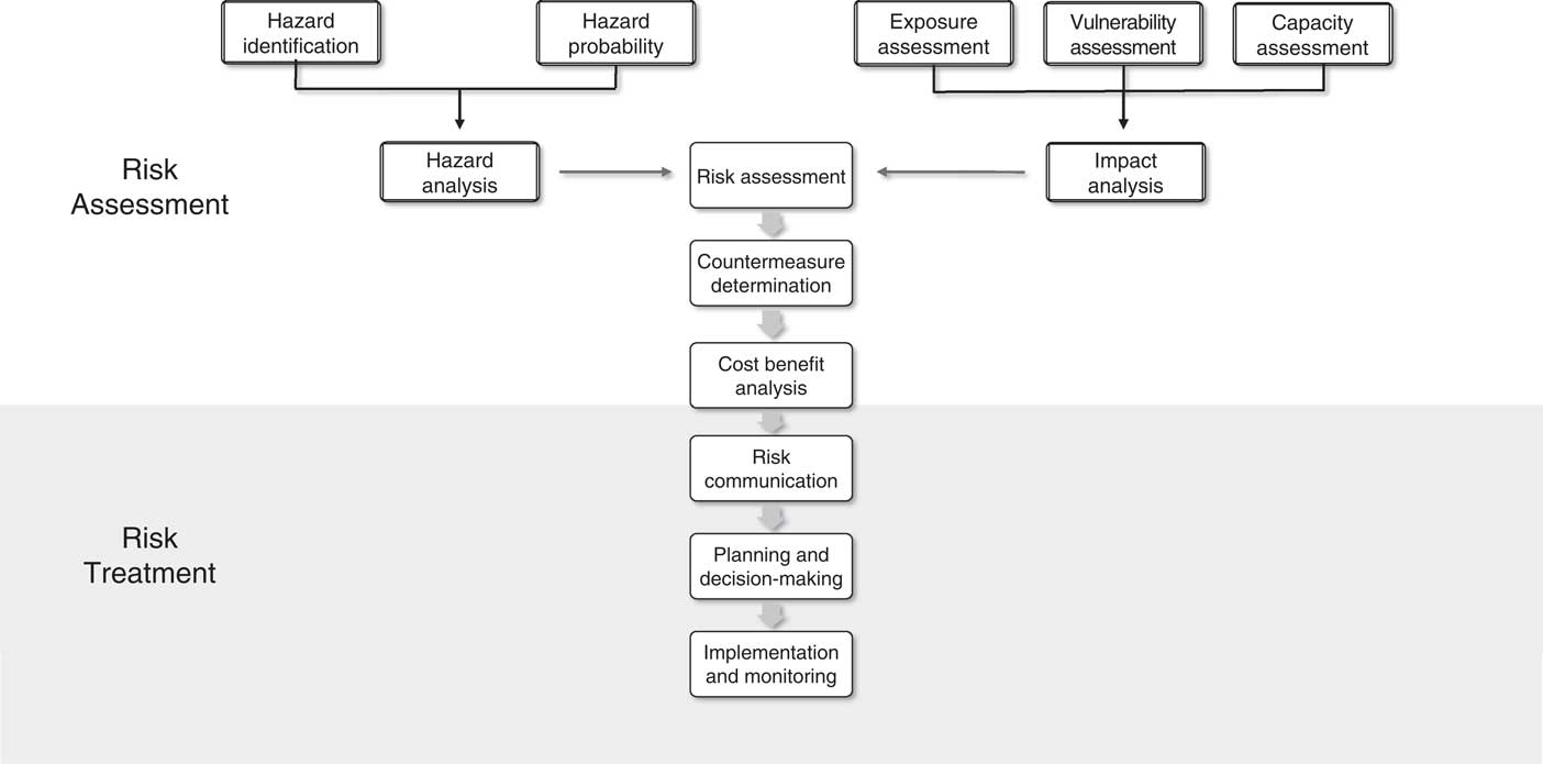 Managing Disaster-Related Health Risk: A Process for Prevention ...
