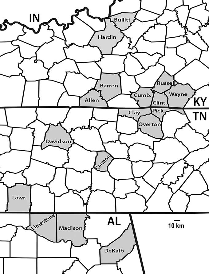 Batocrinidae (Crinoidea) from the Lower Mississippian (lower Viséan ...