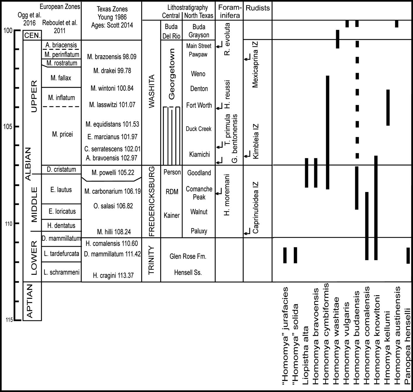 Albian infaunal Pholadomyida (Cretaceous Bivalvia), Comanchean ...
