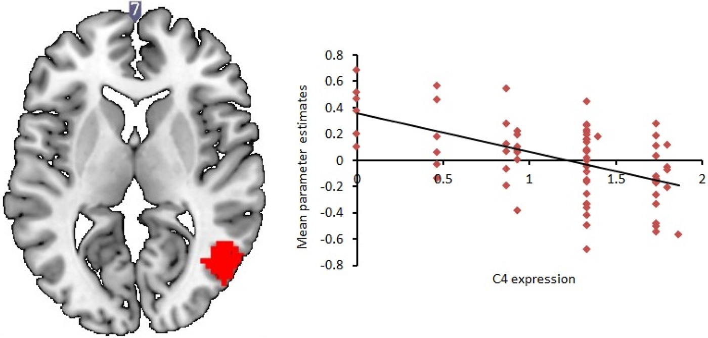 Genetically predicted complement component 4A expression: effects on ...