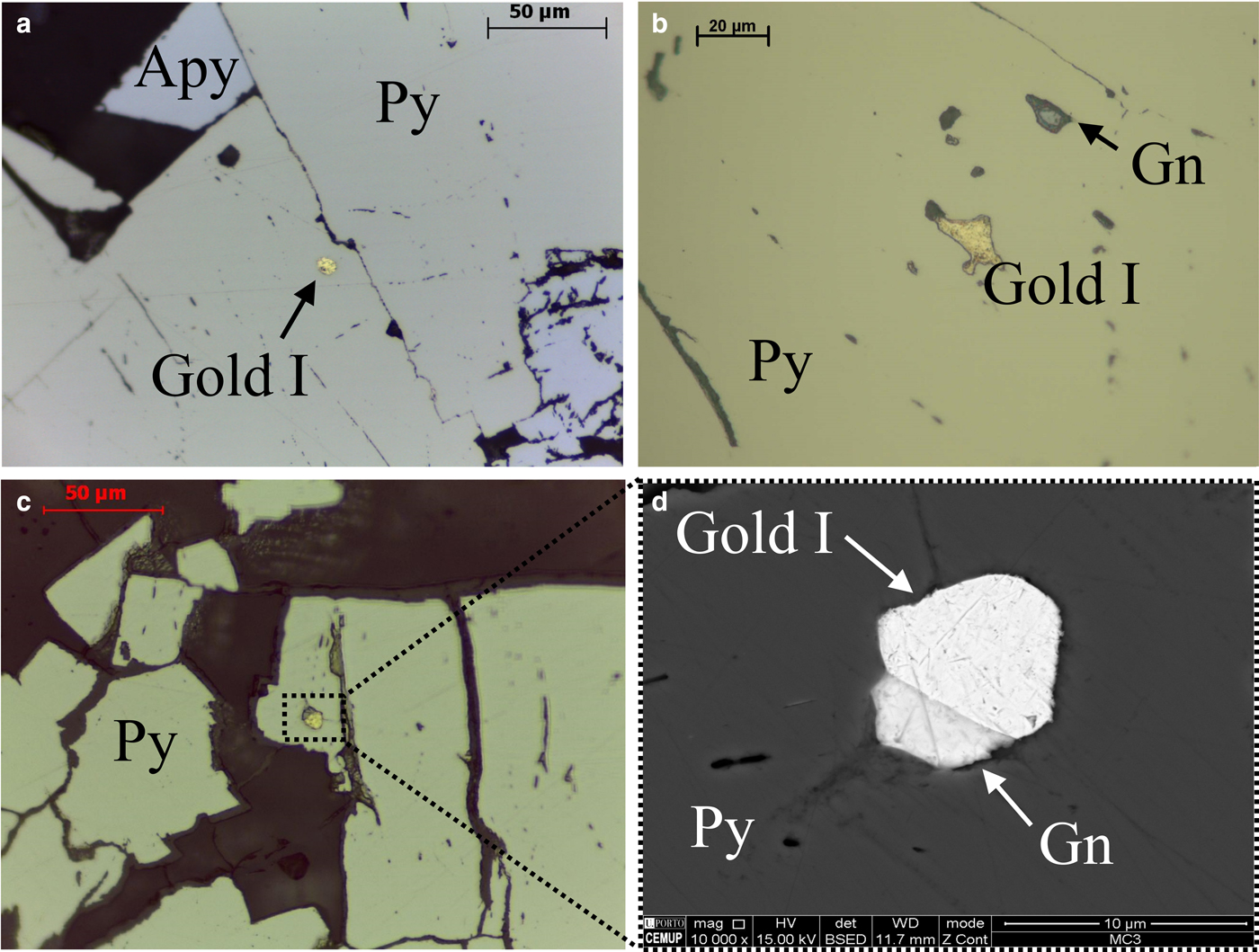 Supergene gold enrichment in the Castromil-Serra da Quinta gold deposit ...
