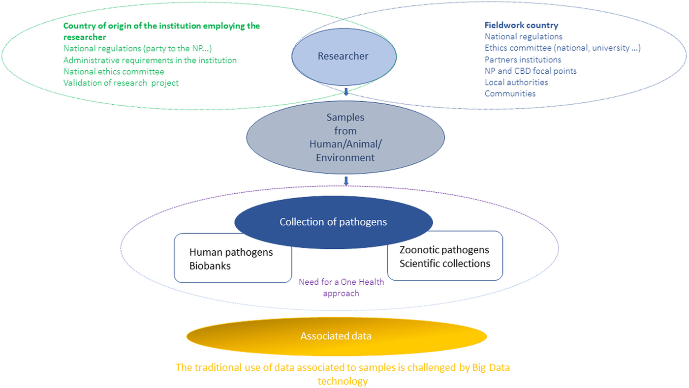 Pathogens collections, biobanks and related-data in a One Health legal ...