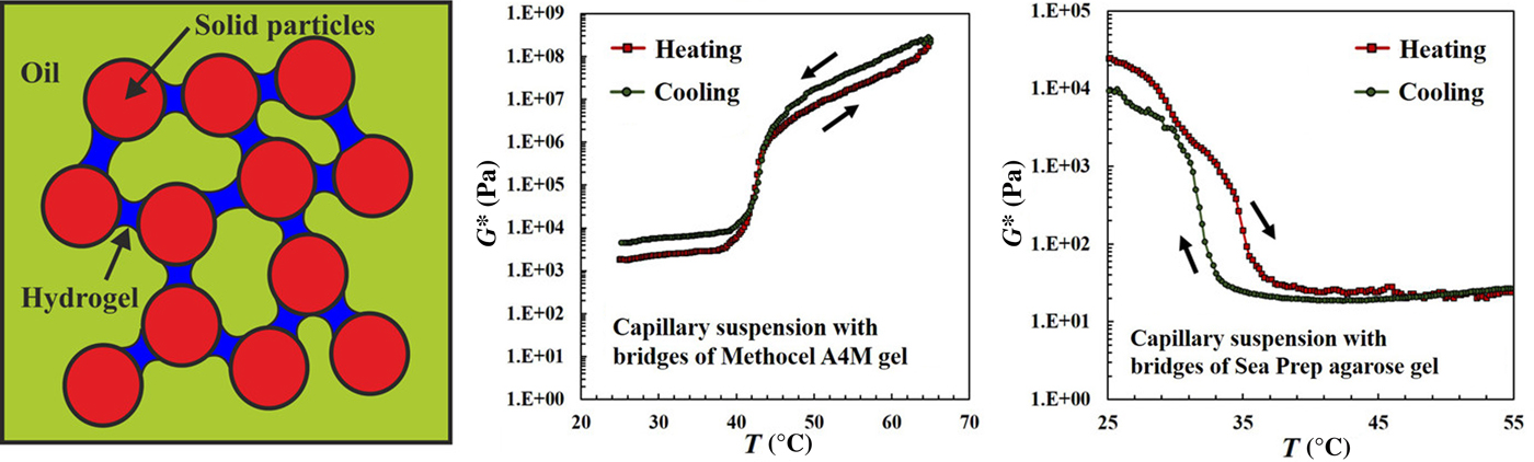 Structure of capillary suspensions and their versatile applications in ...