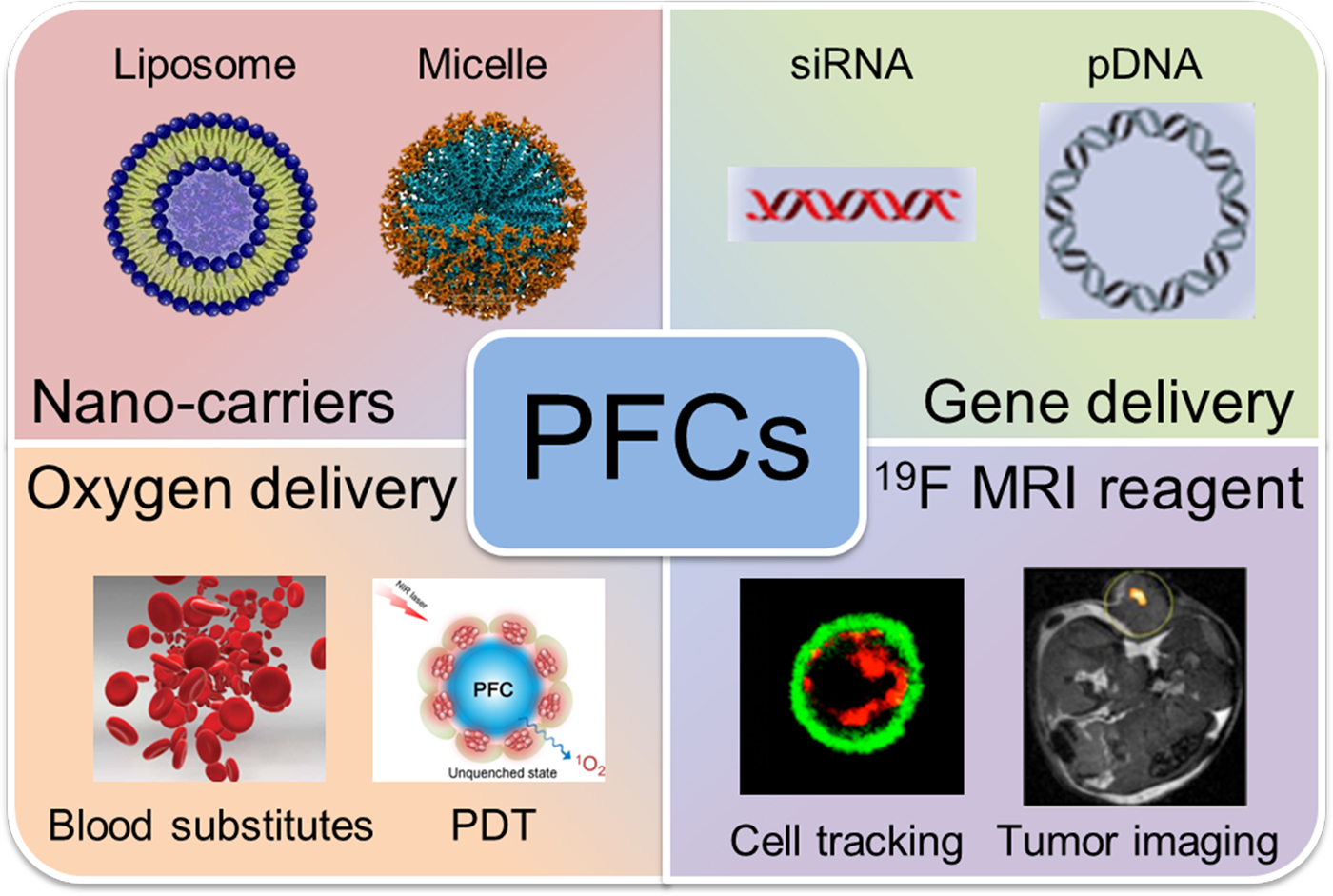 Perfluorocarbon-based nanomedicine: emerging strategy for diagnosis and ...