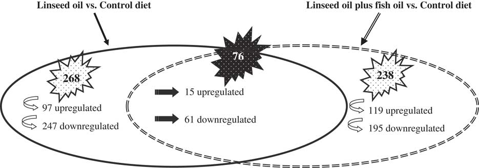 Extruded linseed alone or in combination with fish oil modifies mammary ...