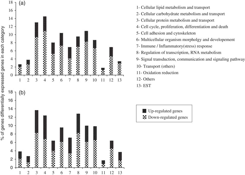 Extruded linseed alone or in combination with fish oil modifies mammary ...