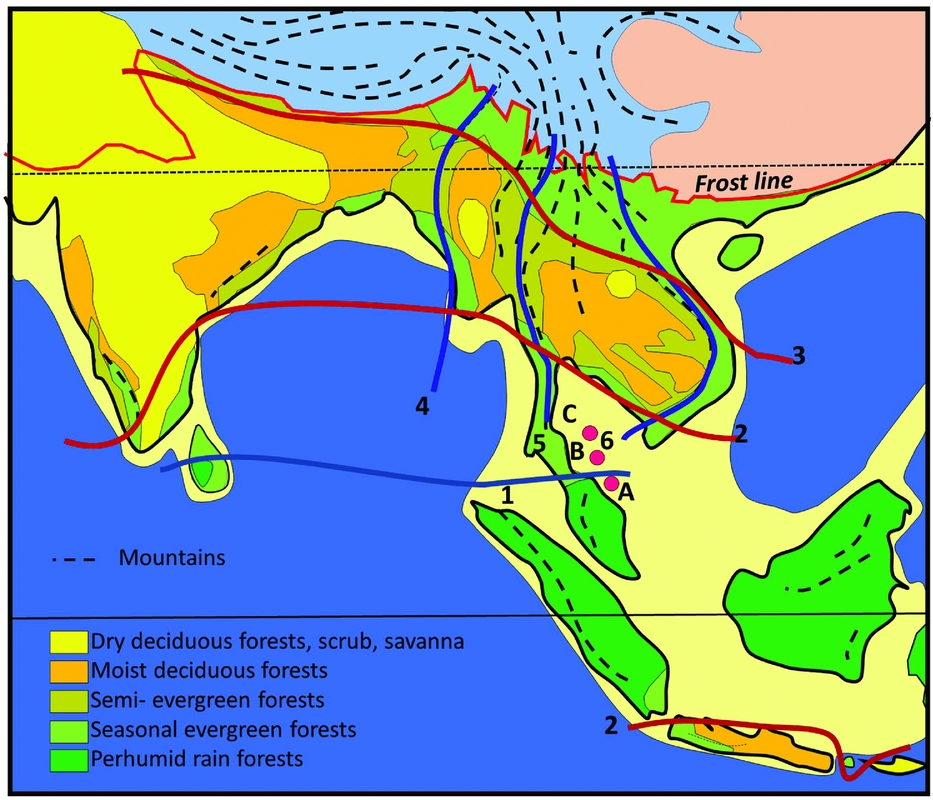 Assembly and division of the South and South-East Asian flora in ...
