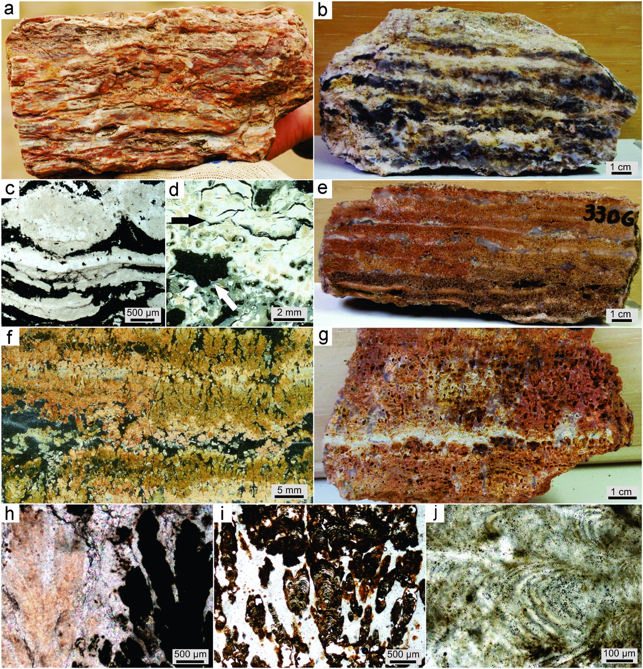 Upper Jurassic travertine at El Macanudo, Argentine Patagonia: a fossil ...
