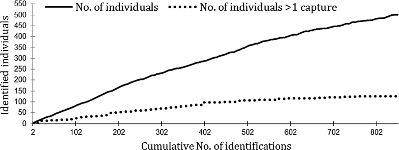 Social structure of a population of bottlenose dolphins (Tursiops ...
